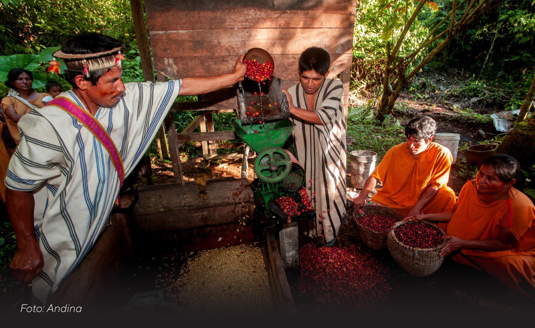 ¿Cuáles son los mayores problemas ambientales que amenazan al Perú ...